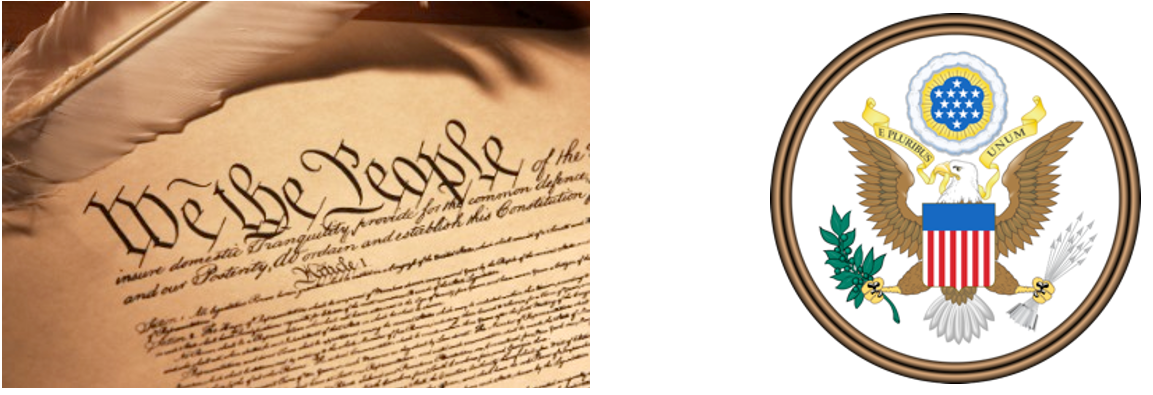 The 28th Amendment Project – Naviaux Lab